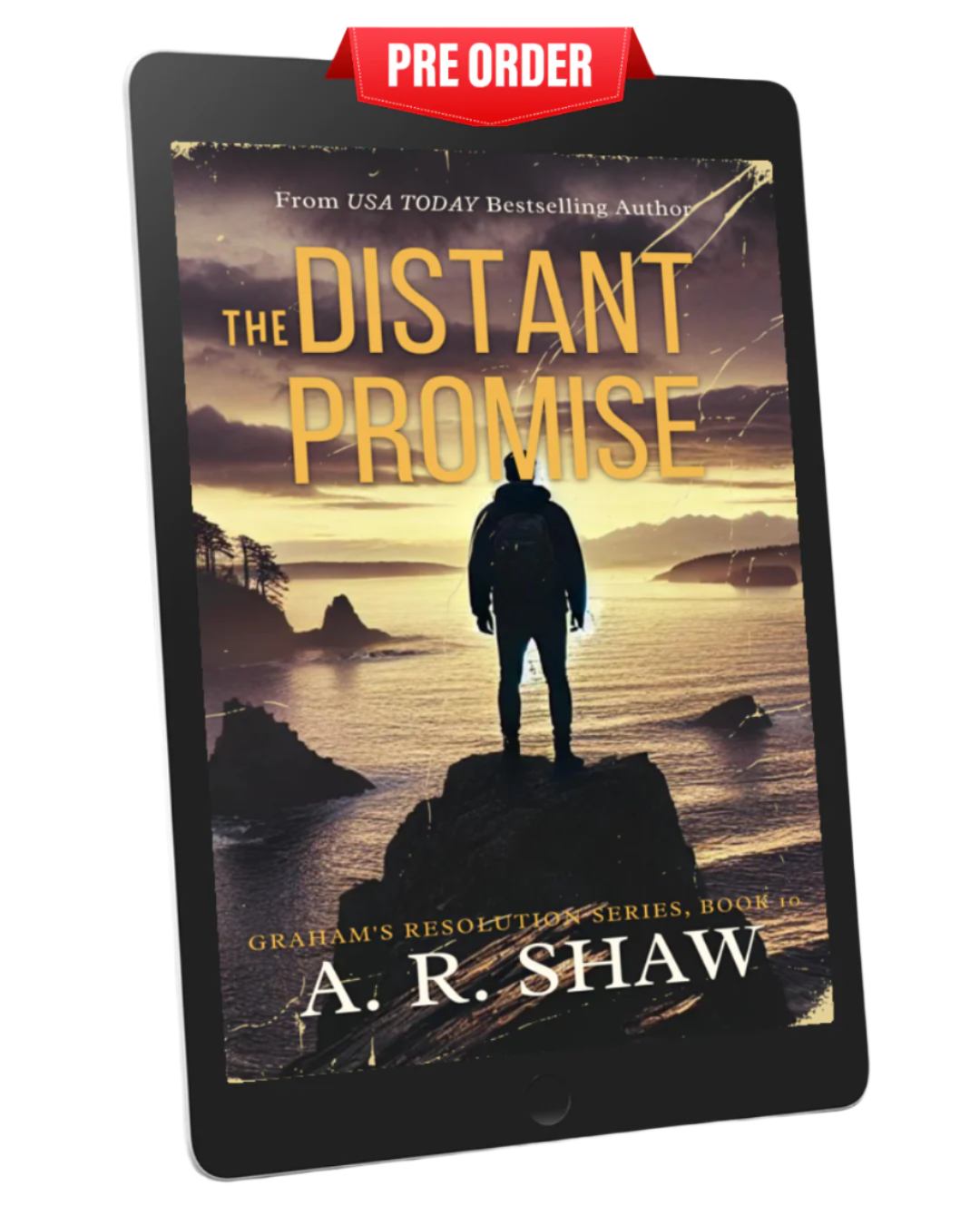 Graham’s Resolution, Book 10 - The Distant Promise – ARShawBooks.com